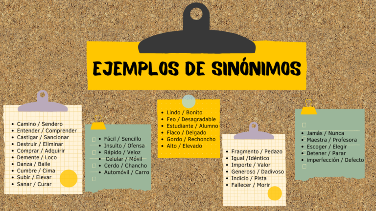 Ejemplos de sinónimos y antónimos - Analizando Productos