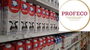 ¿Cuál es la mejor leche PROFECO? 2023 - Analizando Productos